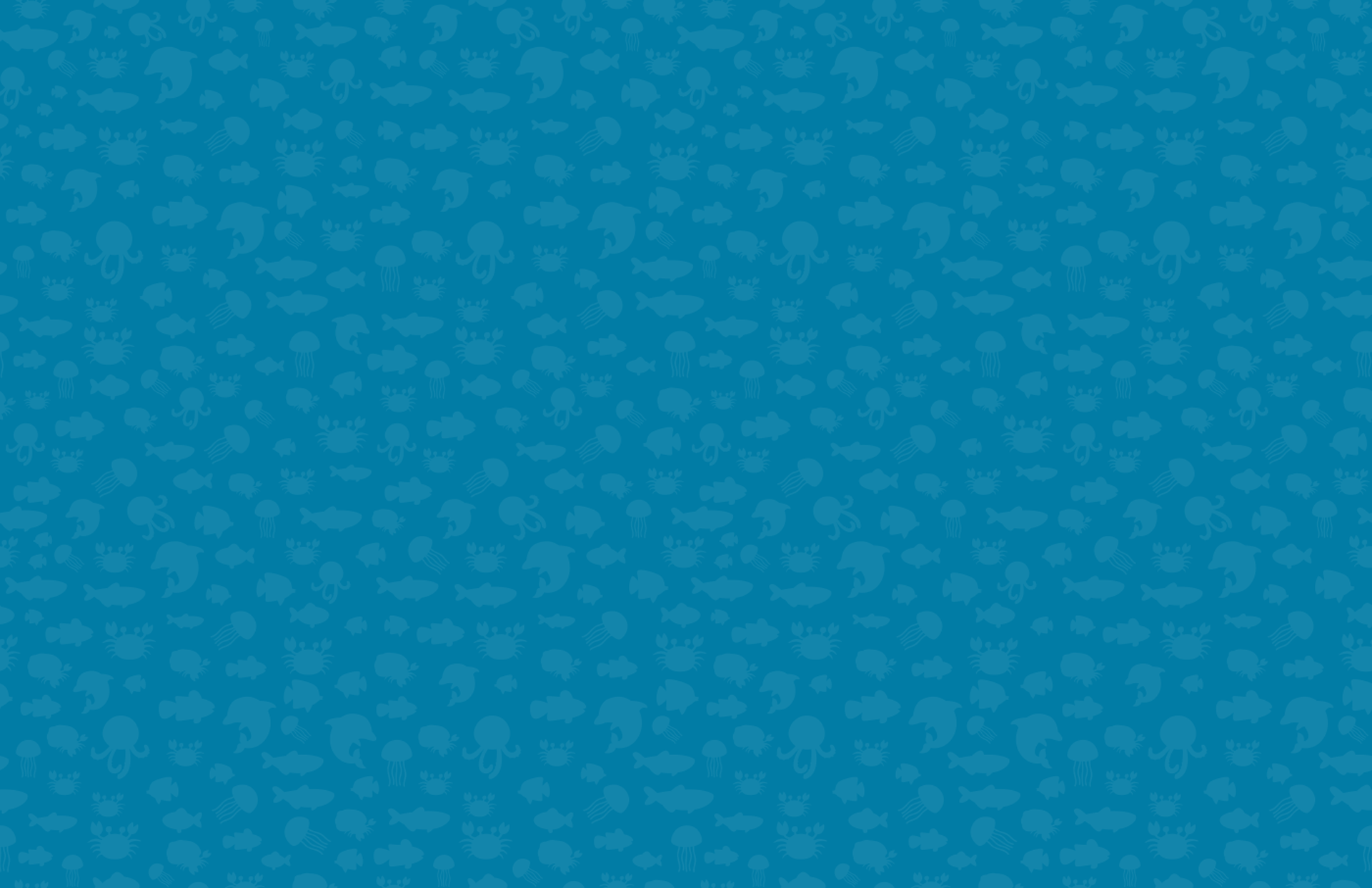 Swim Lesson Prices Denver | SafeSplash Denver (Park Hill)