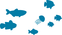 Safer Swimmer Promise | SafeSplash